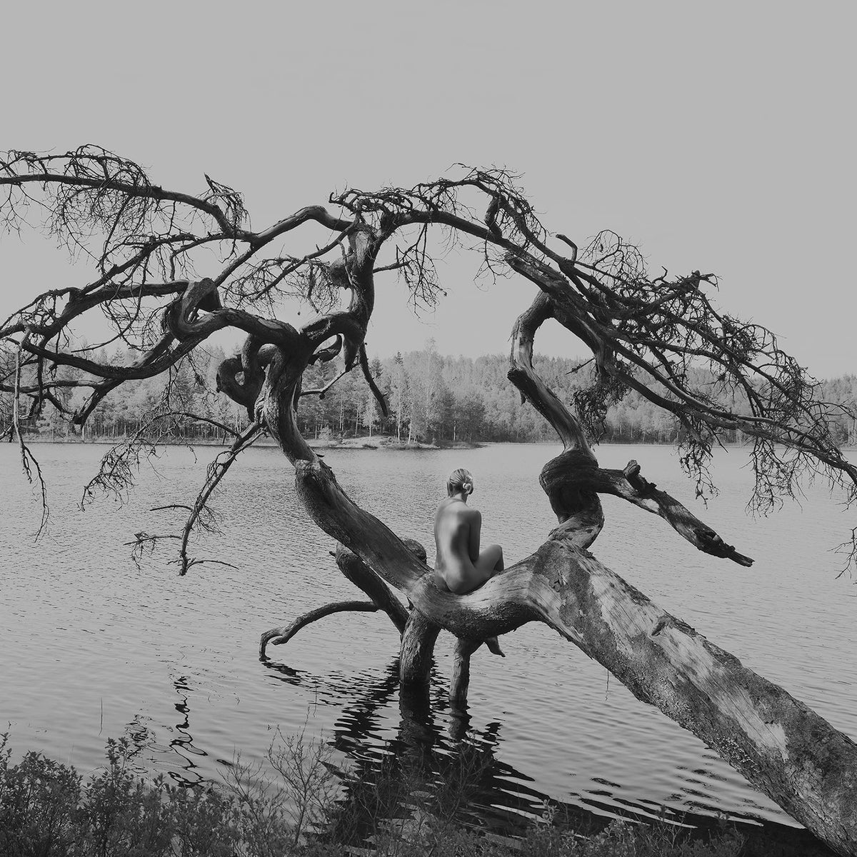 Fru Bauer – Emerson Bailey